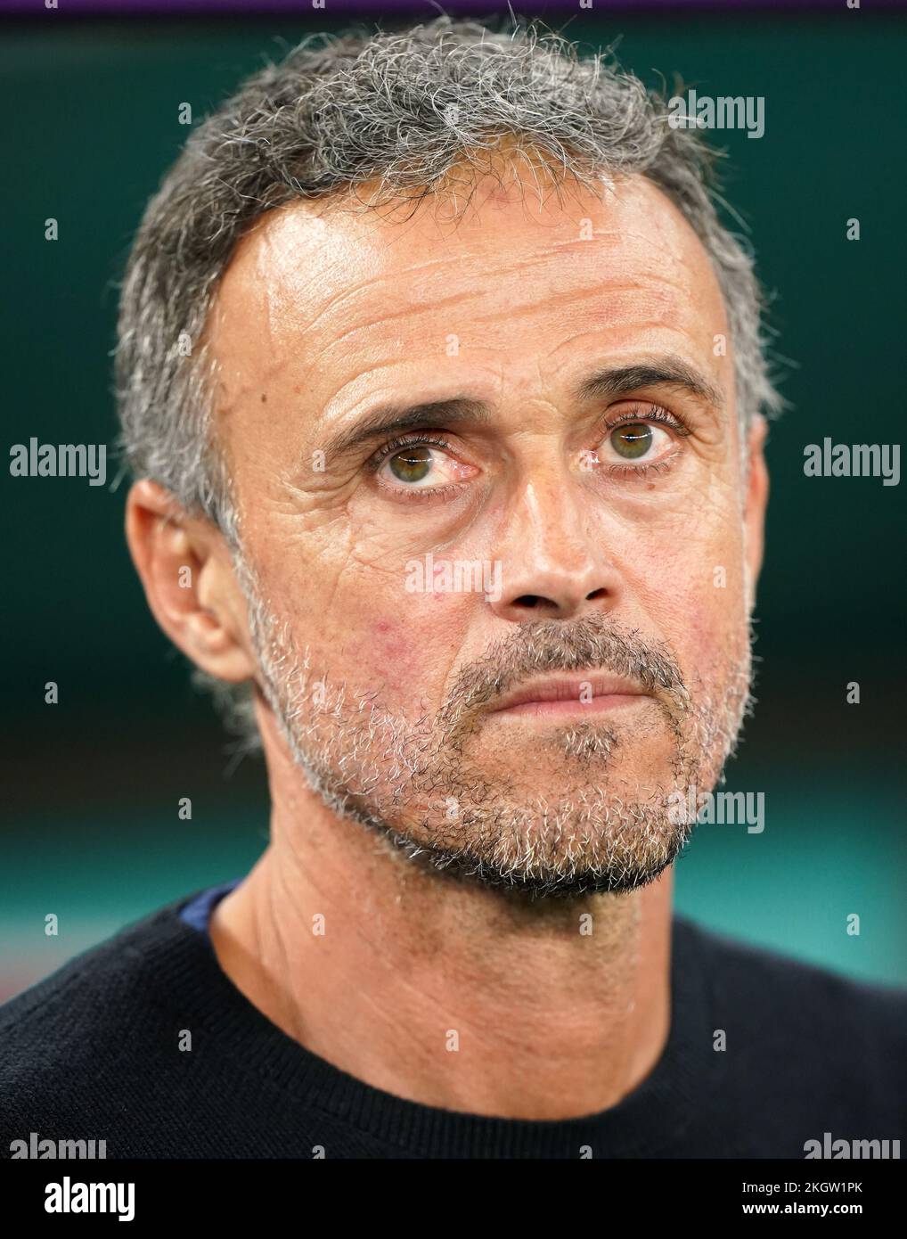 Spain manager Luis Enrique during the FIFA World Cup Group E match at ...