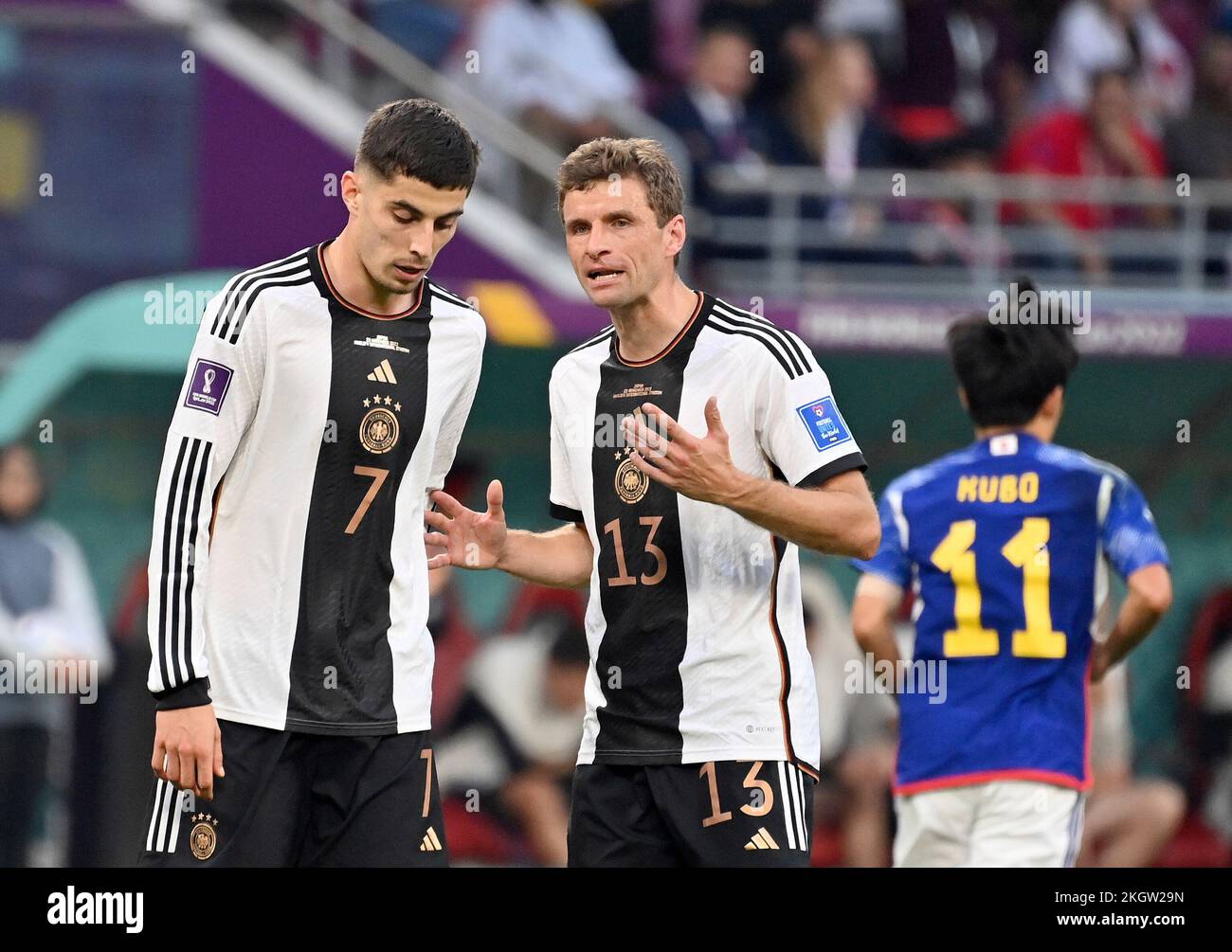 Doha, Qatar, November 23rd, 2022, left to right Kai HAVERTZ (GER), Thomas MUELLER (Muller) (GER ...