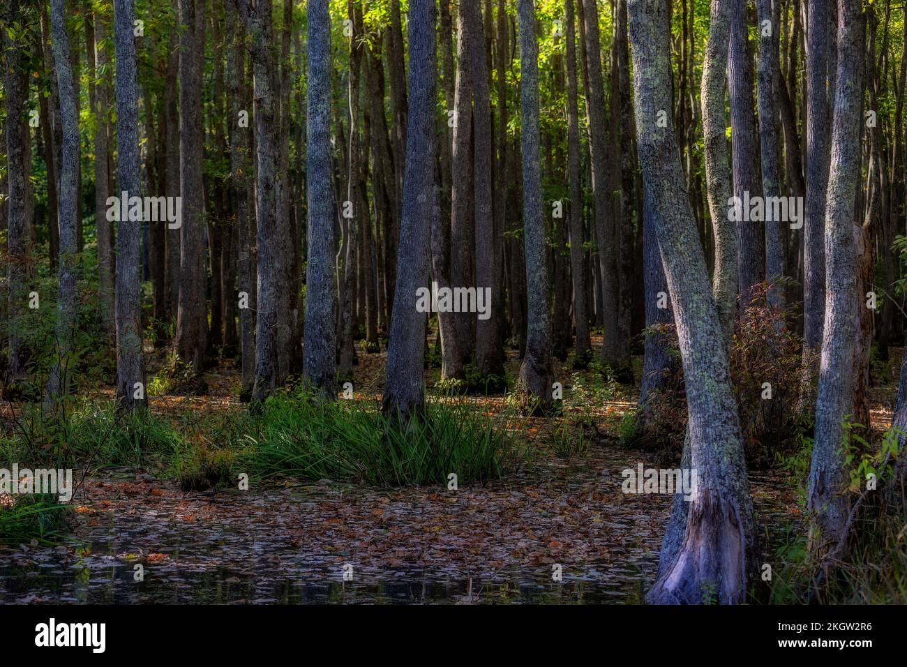 Moscow tennessee hi-res stock photography and images - Alamy