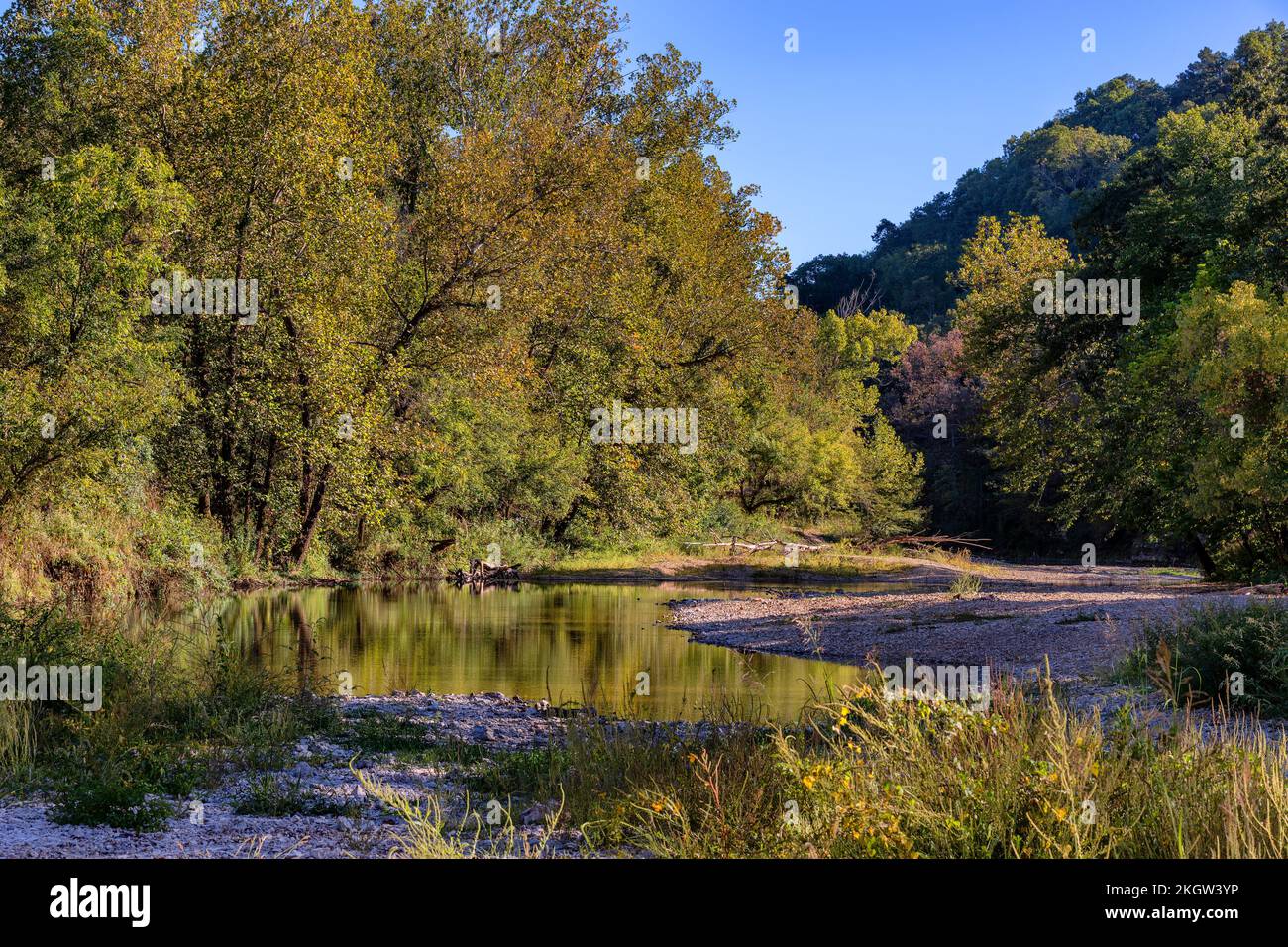 Landscape view of a pretty creek flowing through the forest with ...