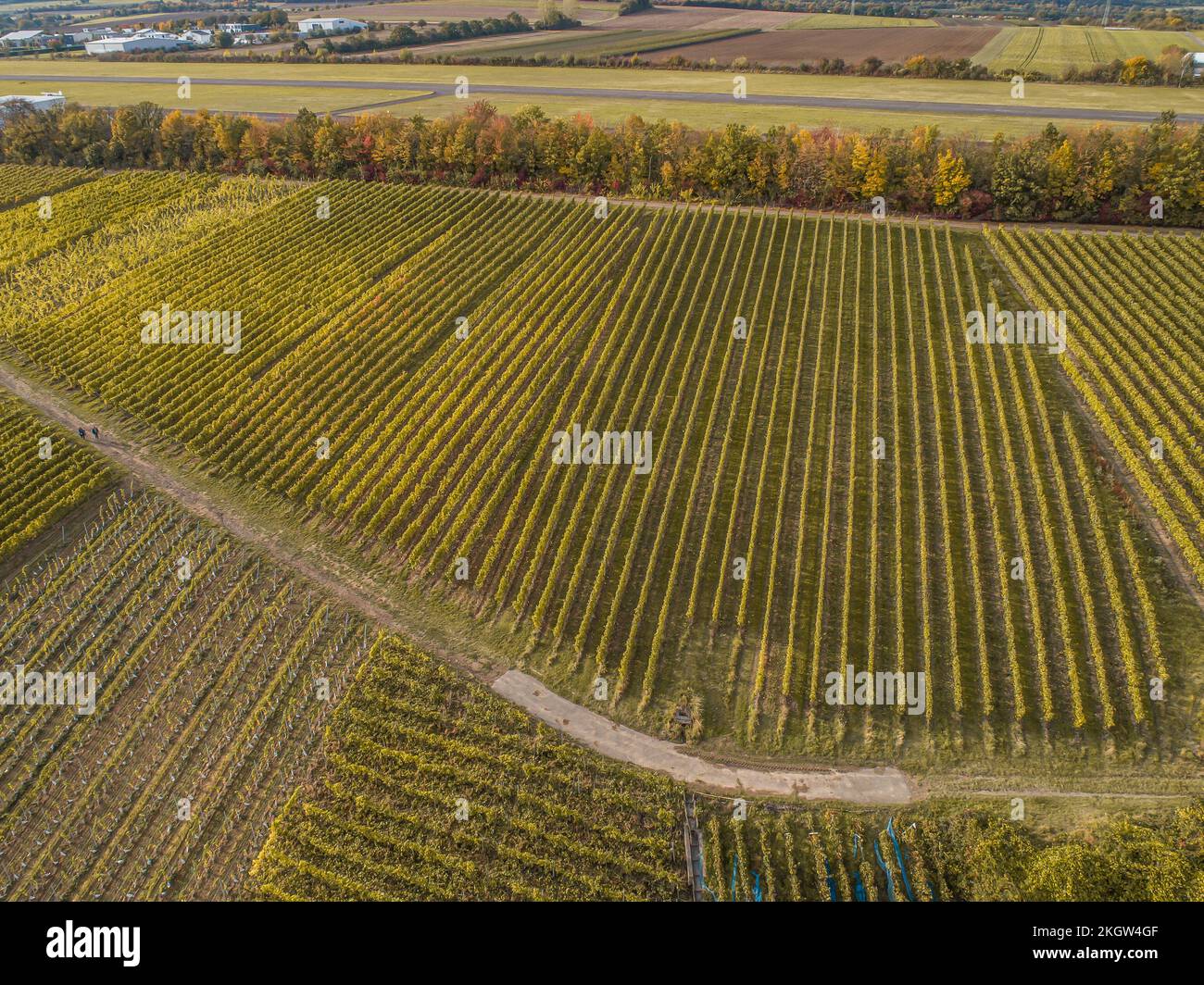 Aerial view Famous German Wine Region Moselle River Lay and Guels ...
