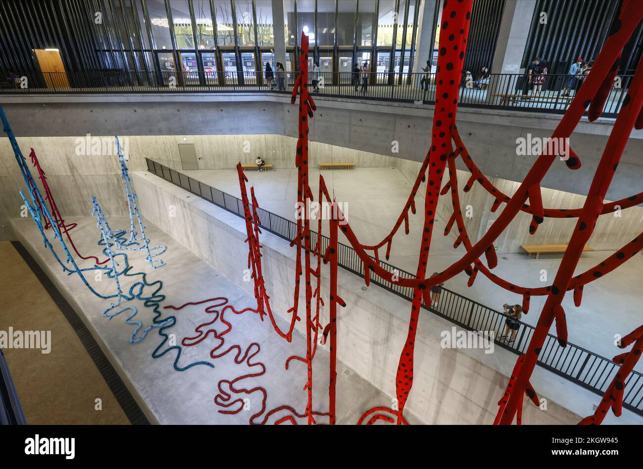 Media preview of M+, Asia's first global museum of contemporary visual ...