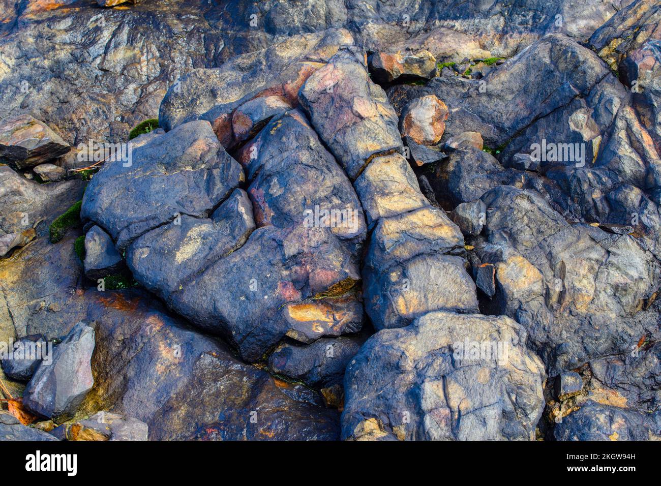Rock outcrops and lichens, Greater Sudbury, Ontario, Canada Stock Photo ...