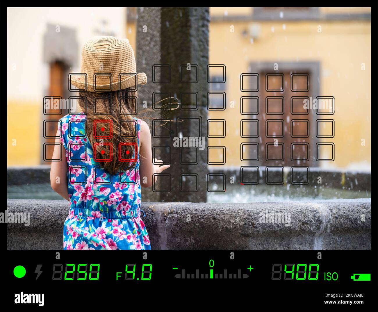 Viewfinder or screen of an SLR camera with the photographic data of a ...