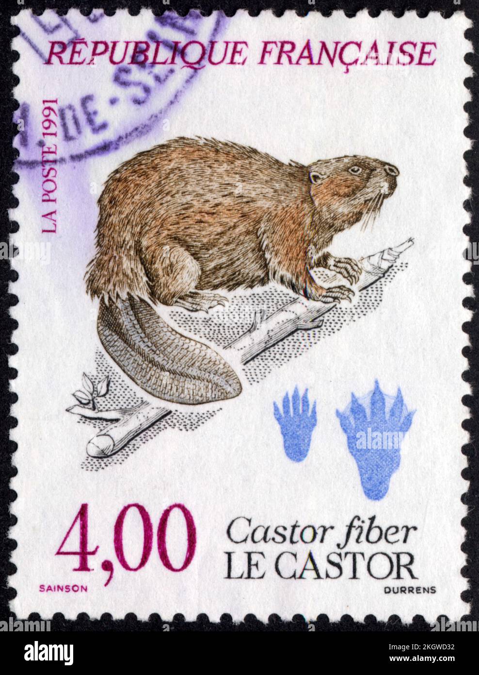 Timbre castor hi-res stock photography and images - Alamy