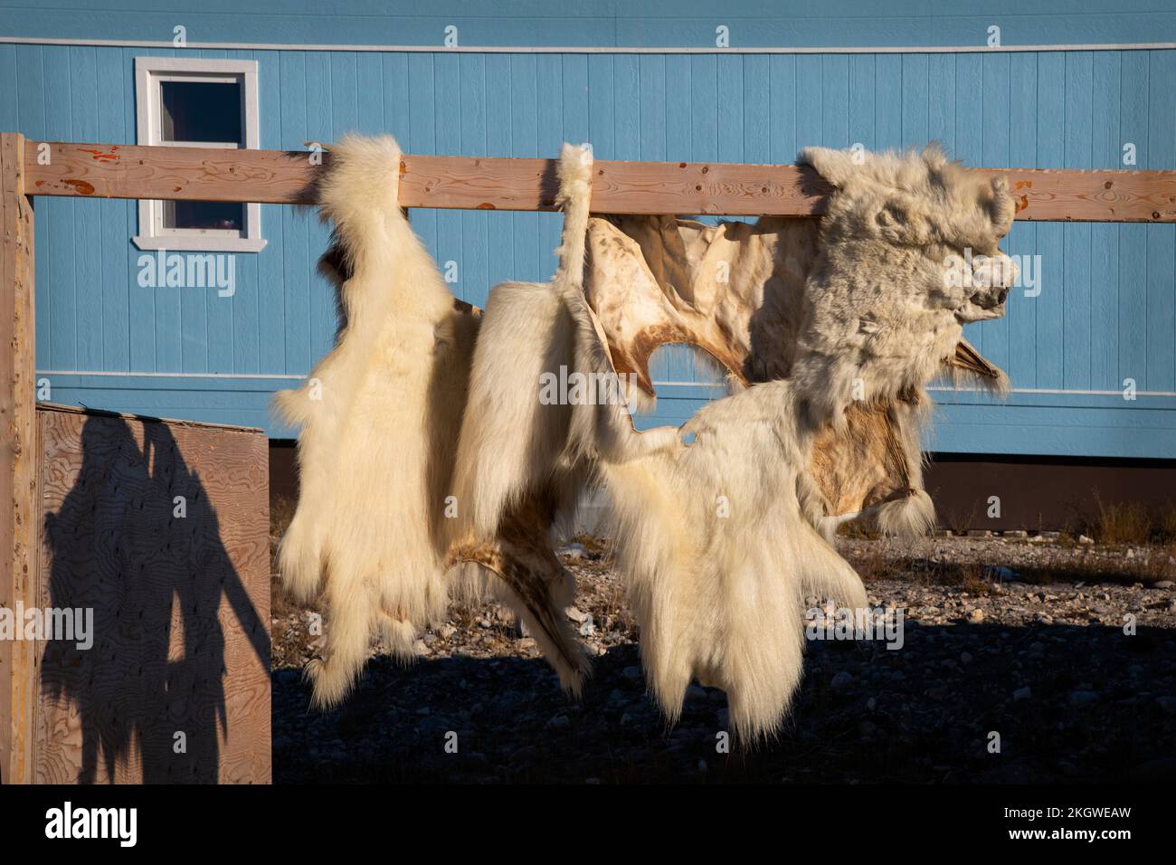 Arena new haven hi-res stock photography and images - Alamy