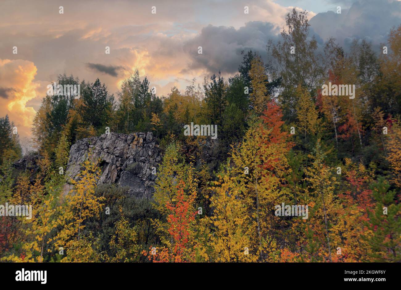 Crowns of trees with multi-colored autumn leaves against the cloudy ...