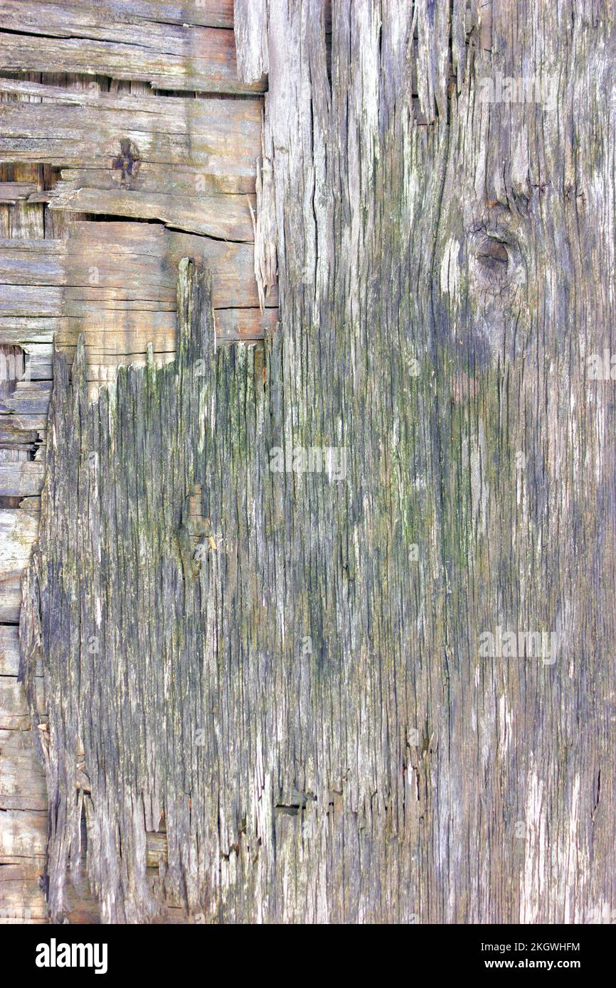 The texture of the old shabby plywood sheet close-up Stock Photo - Alamy