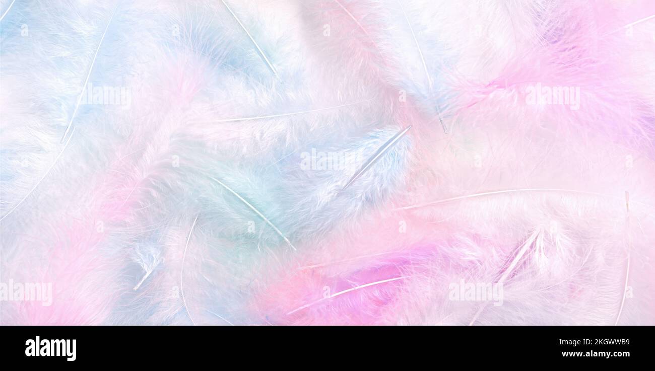 Fluffy multicolored bird feathers. The texture of the feathers Stock ...
