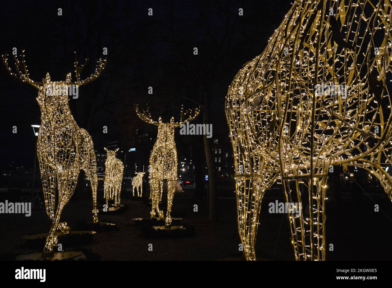 Stockholm, Sweden - November 2022 - Christmas elk lightnings at ...