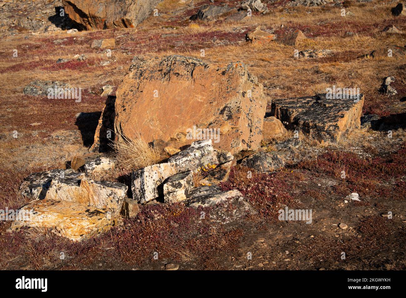 Inuit grave, Johnson Bay, Dundas Harbour, Nunavut, Canada Stock Photo ...