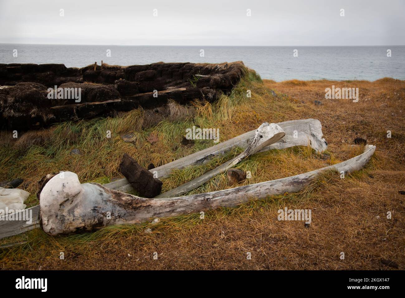 Whale bone, Pond Inlet (Mittimatalik), Nunavut, Canada Stock Photo - Alamy