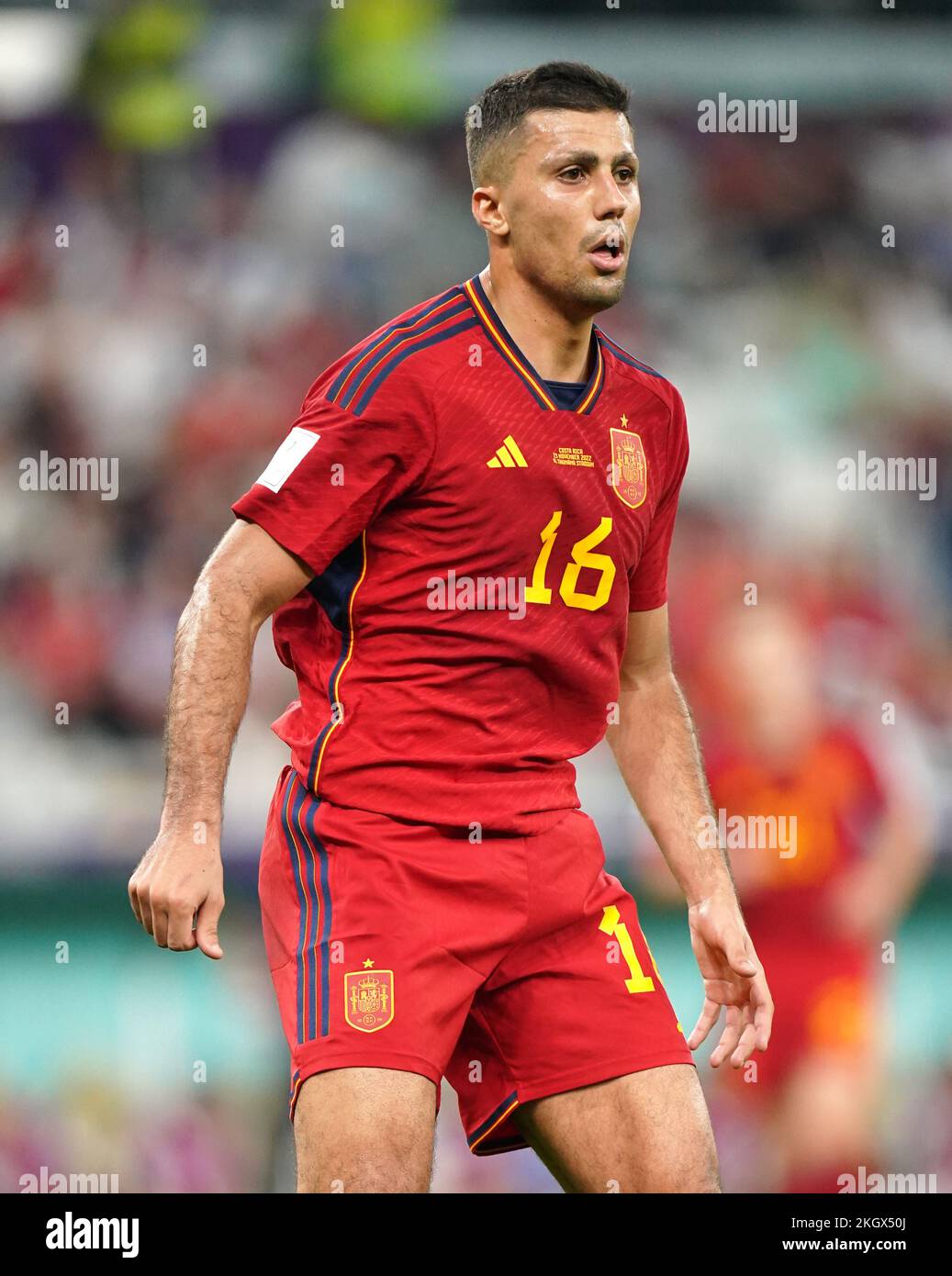 Spain's Rodri during the FIFA World Cup Group E match at the Al Thumama ...
