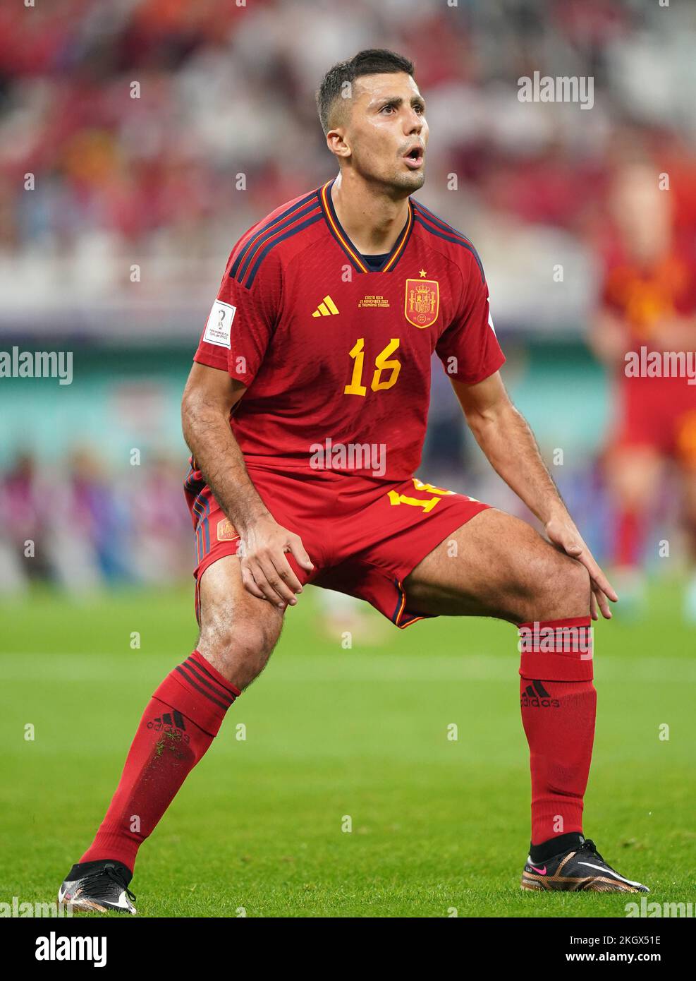 Spain's Rodri during the FIFA World Cup Group E match at the Al Thumama ...