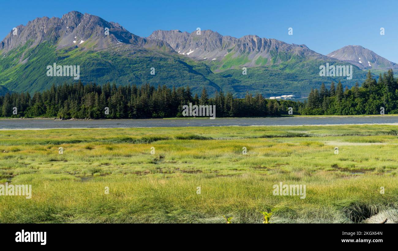 A scenic shot of the Chugach Mountains across the Matanuska River and a ...