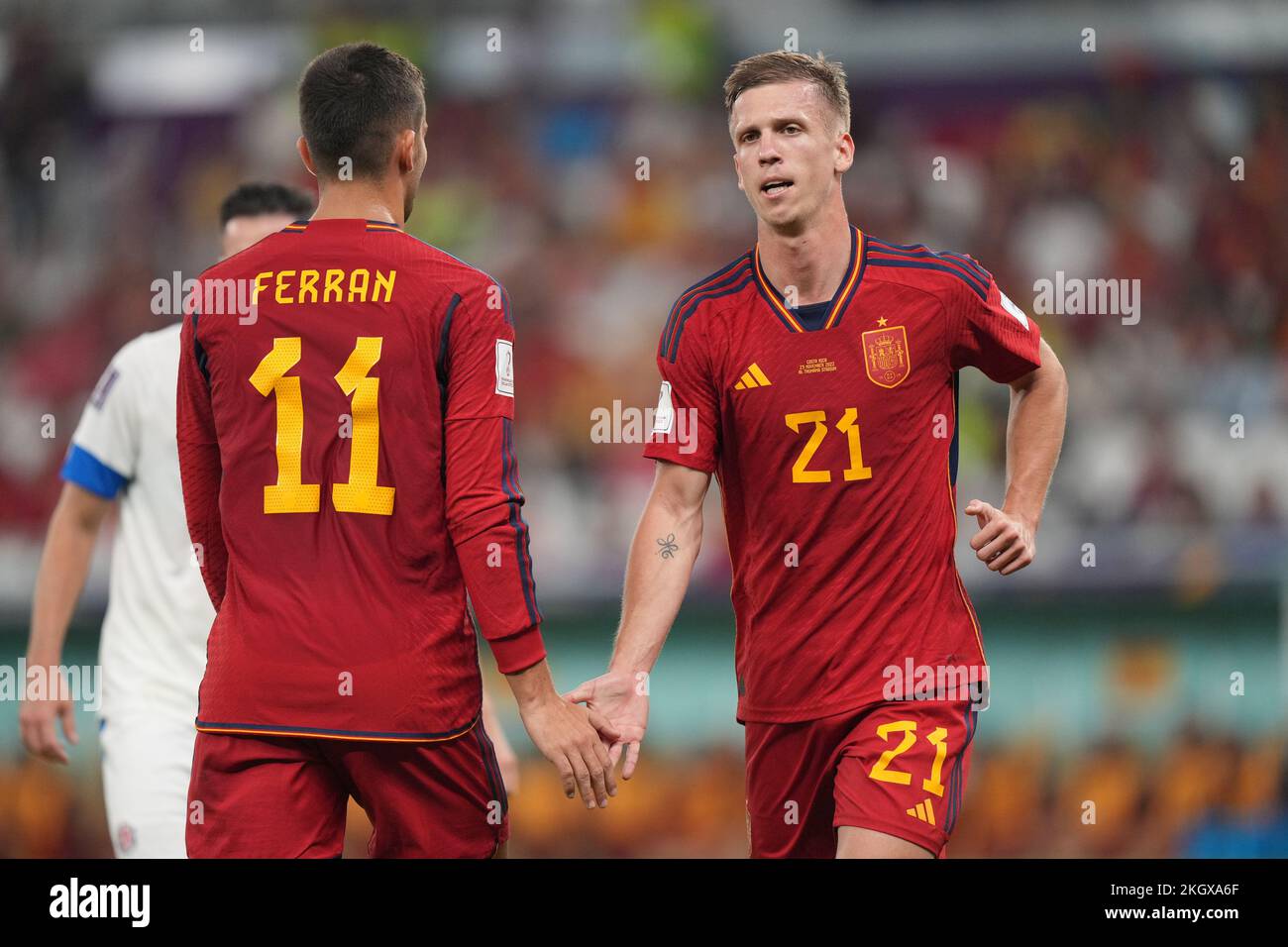Dani Olmo of Spain during the Qatar 2022 World Cup match, group E, date ...