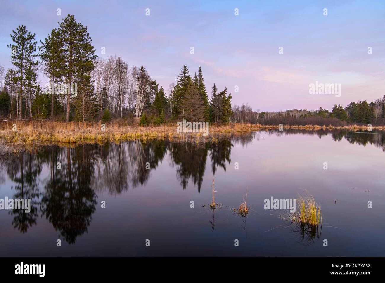 Reflections in a beaver pond at sunset, Greater Sudbury, Ontario ...