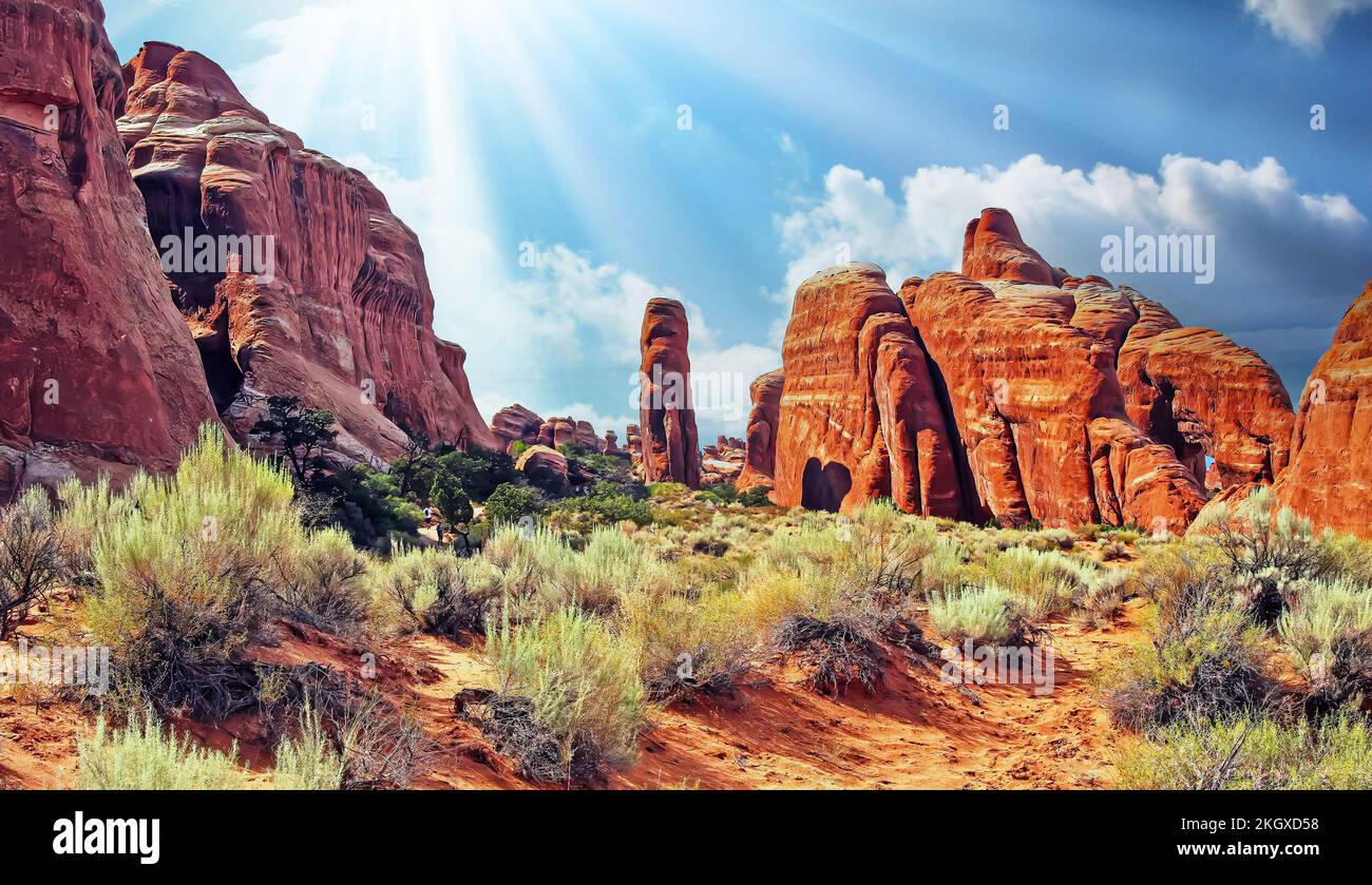 Beautiful natural wild landscape, red sand hiking trail, dry grass ...