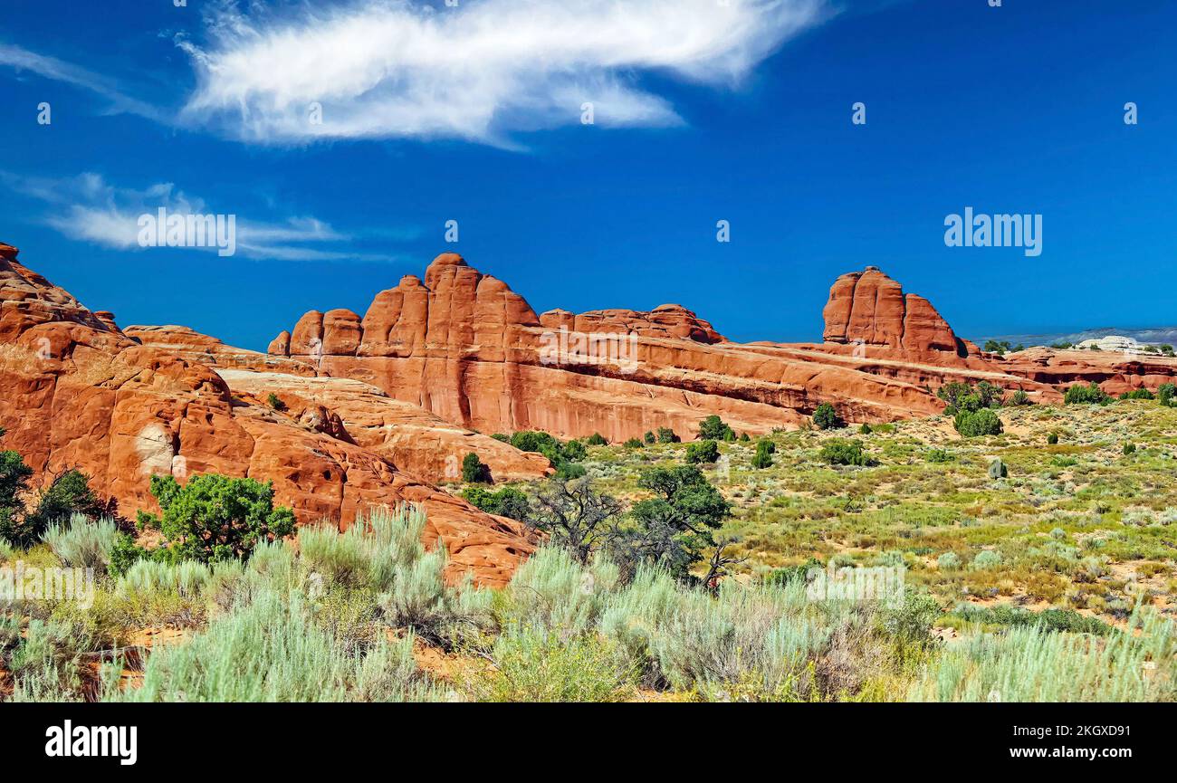 Beautiful wild west landscape, dry green grass, trees and bushes ...