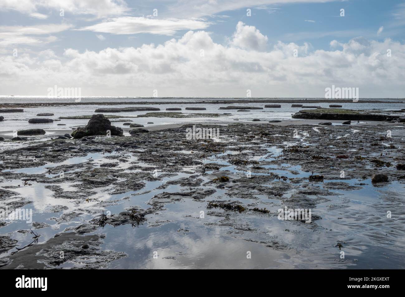 rock pools on a beautiful deserted sandy beach in Lyme Regis Dorset ...