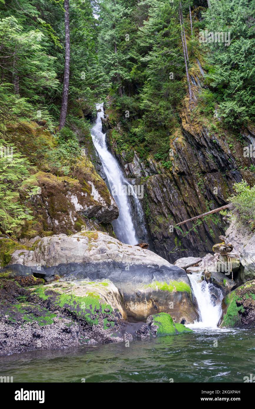 A natural landscape with pretty Silver Falls surrounded by trees ...