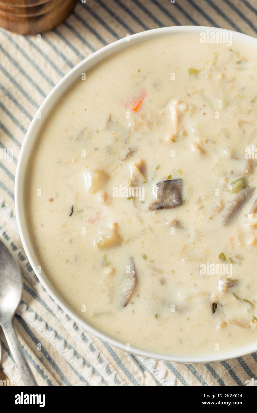 Homemade Chicken and Wild Rice Soup with Mushrooms Stock Photo - Alamy