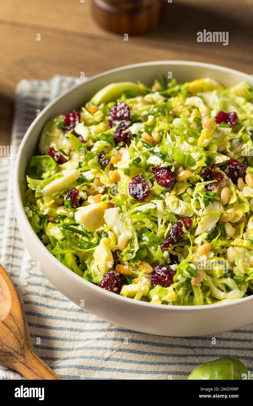 Homemade Brussel Sprout Salad with Cranberry Nuts and Cheese Stock ...