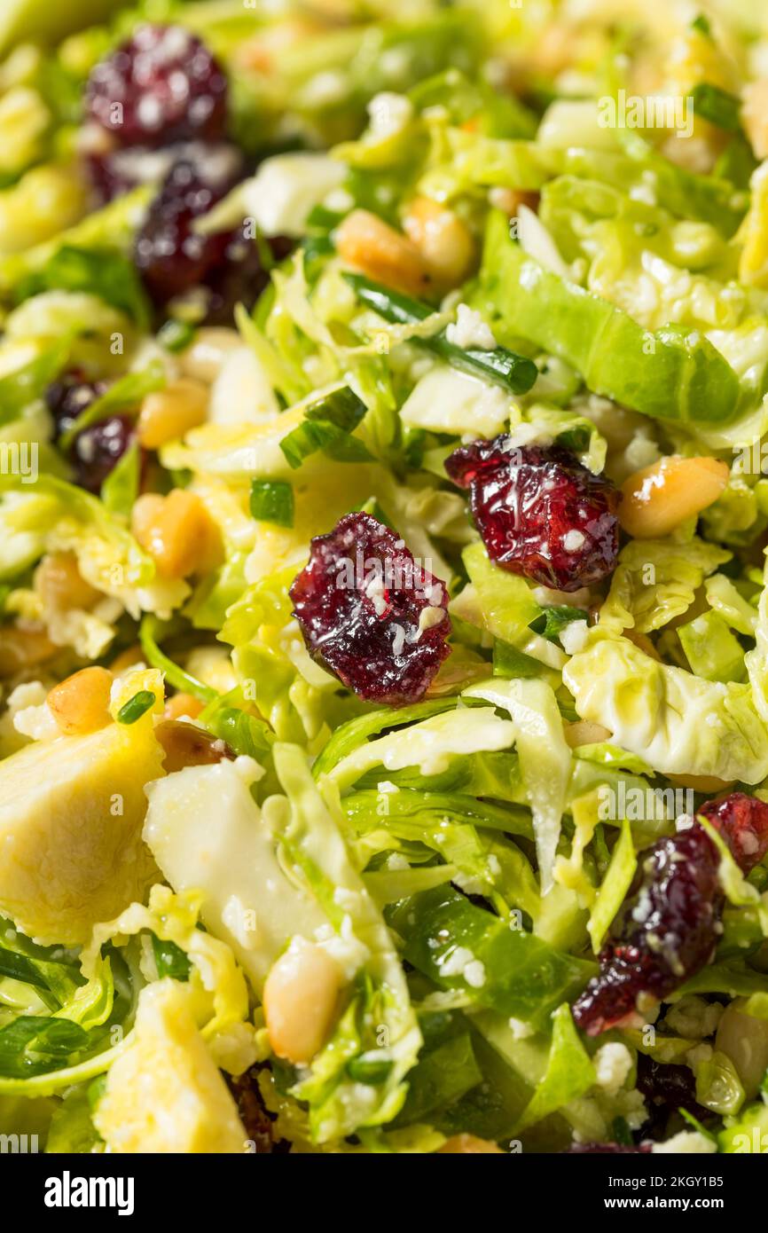 Homemade Brussel Sprout Salad with Cranberry Nuts and Cheese Stock ...