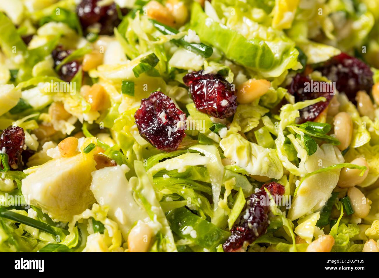 Homemade Brussel Sprout Salad with Cranberry Nuts and Cheese Stock ...
