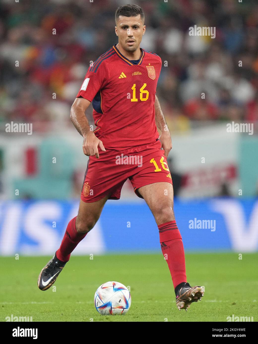 Rodri spain world cup 2022 qatar hi-res stock photography and images ...