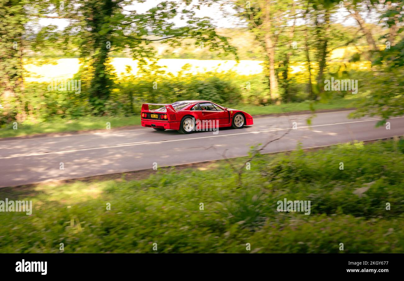 A super modern red Ferrari F40 on the road surrounded by green plants ...