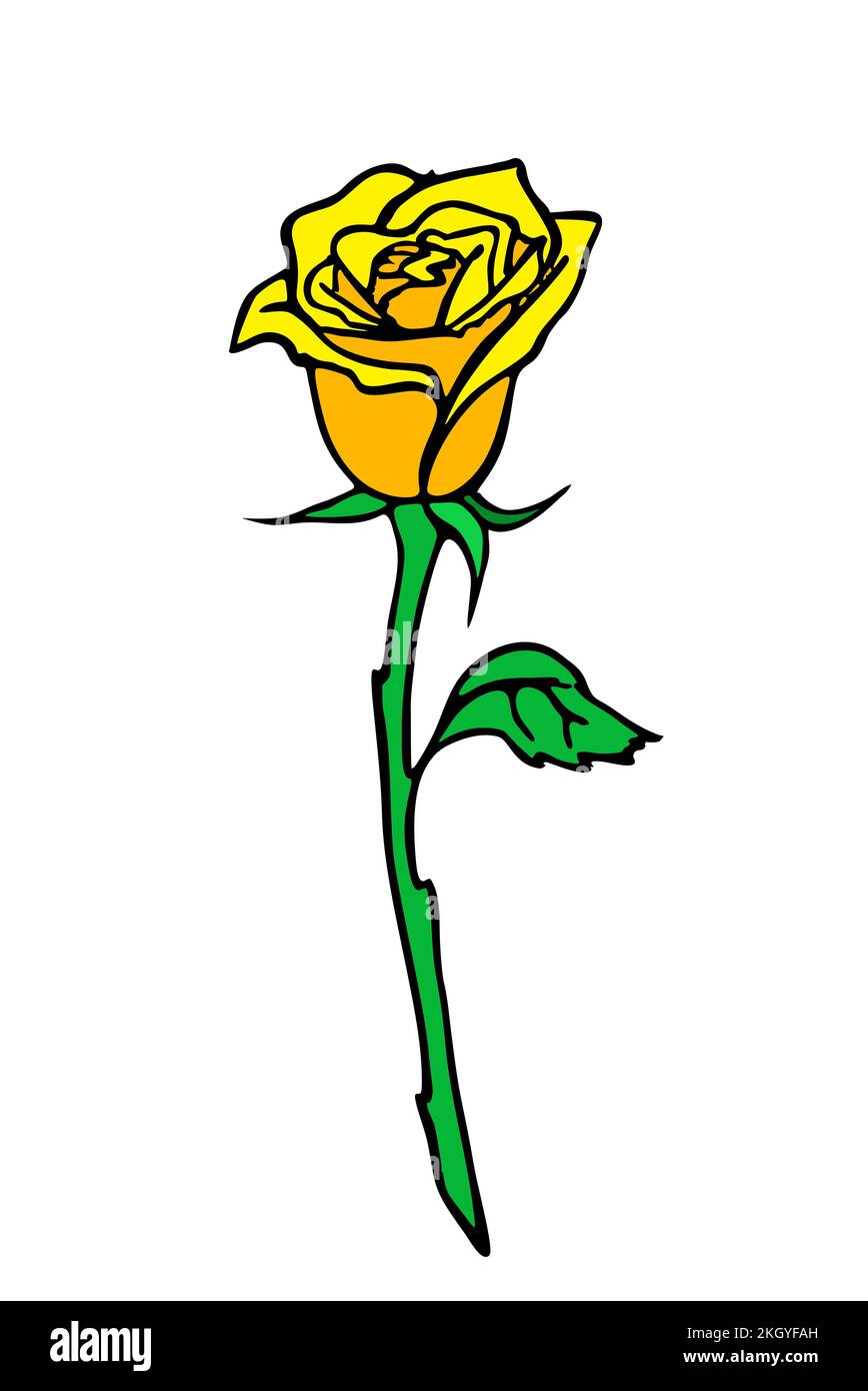 rose branch drawing with yellow flower and leaves, isolated element ...
