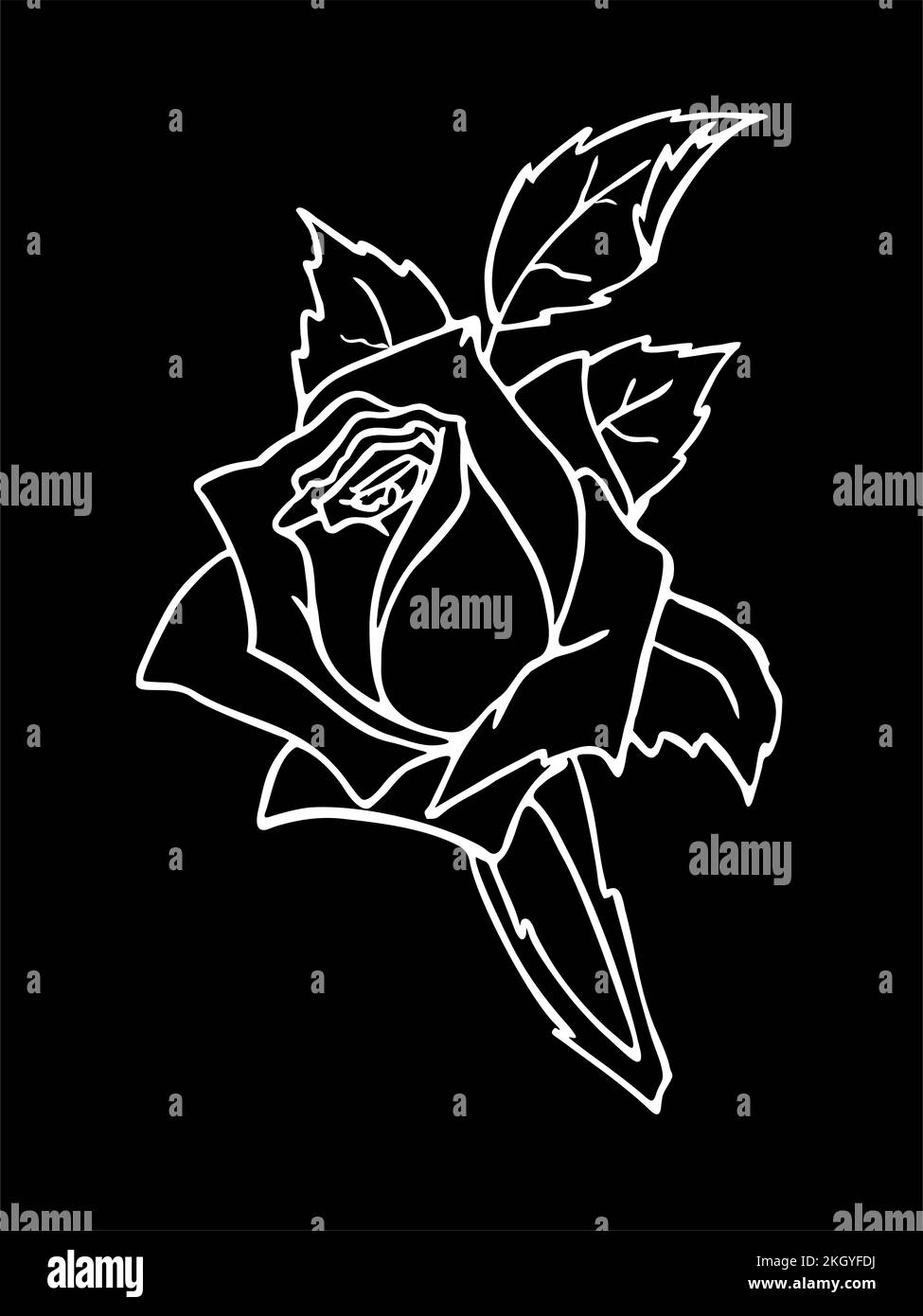 white contour drawing of a large rose flower on a black background ...