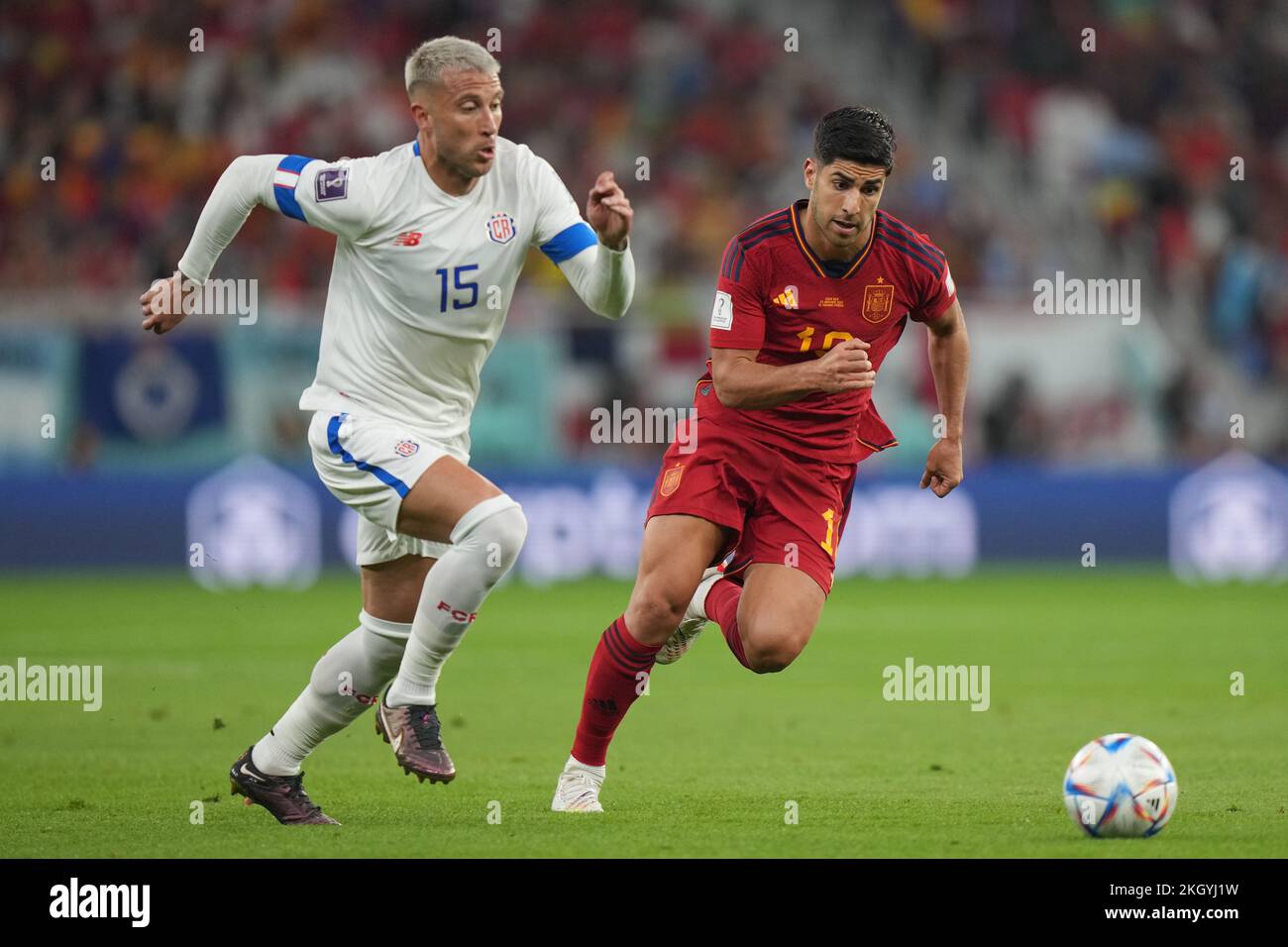 Doha, Qatar. 23rd Nov, 2022. Marco Asensio of Spain and Francisco Calvo ...