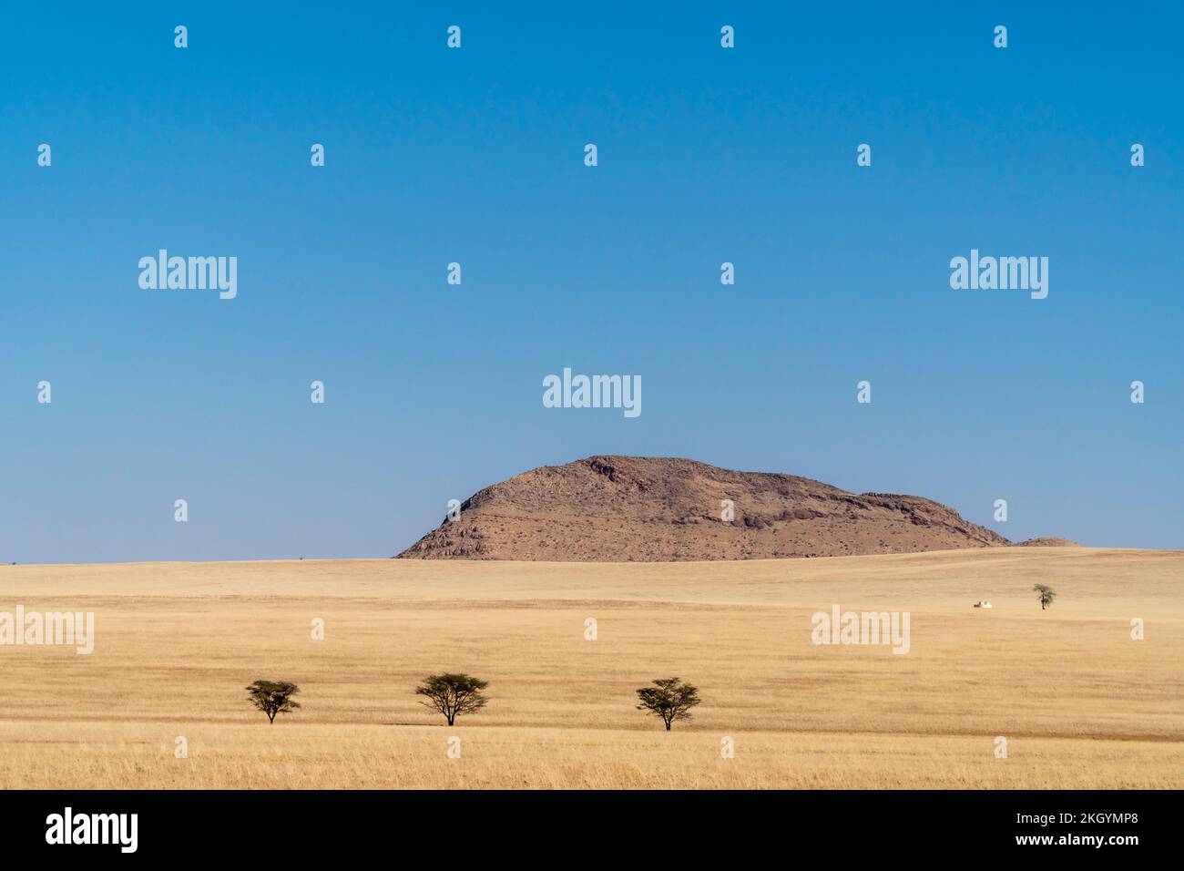A beautiful landscape of a desert with three trees and a rock in ...