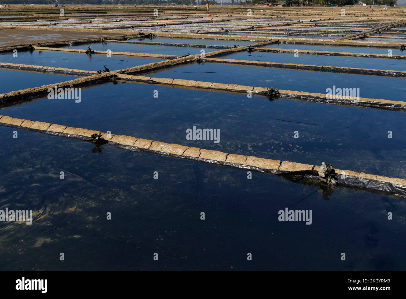Dhaka, Dhaka, Bangladesh. 23rd Nov, 2022. Farmer works in a salt field ...