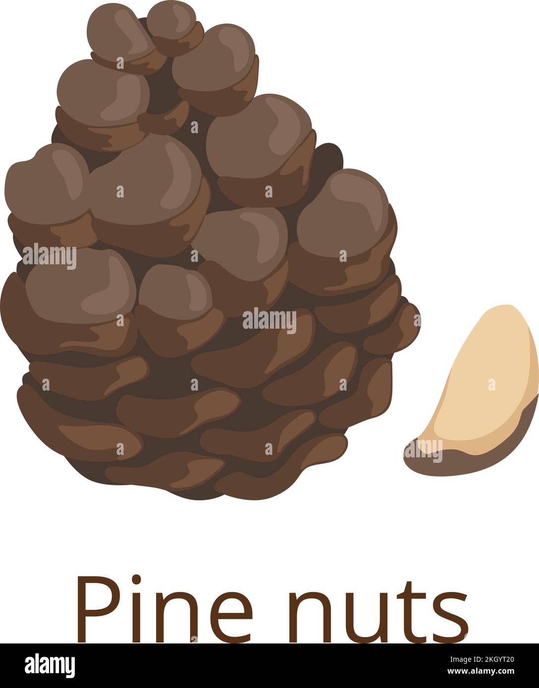 Superfood seed icon cartoon Cut Out Stock Images & Pictures - Alamy