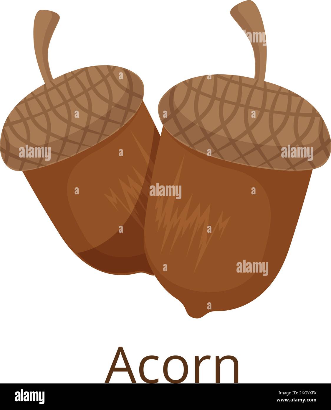 Acorn icon. Cartoon oak tree seed. Forest symbol Stock Vector Image ...