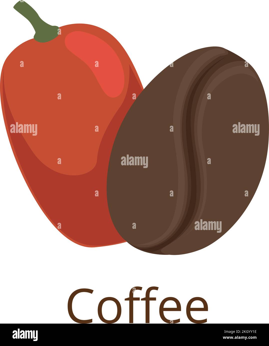 Coffee bean in shell. Drink seed cartoon icon Stock Vector Image & Art ...