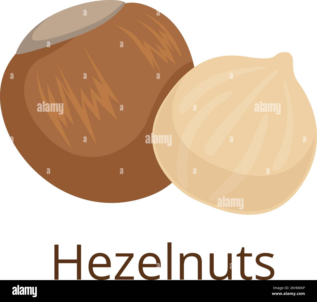 Hazelnut icon. Forest nut. Cartoon healthy snack Stock Vector Image ...