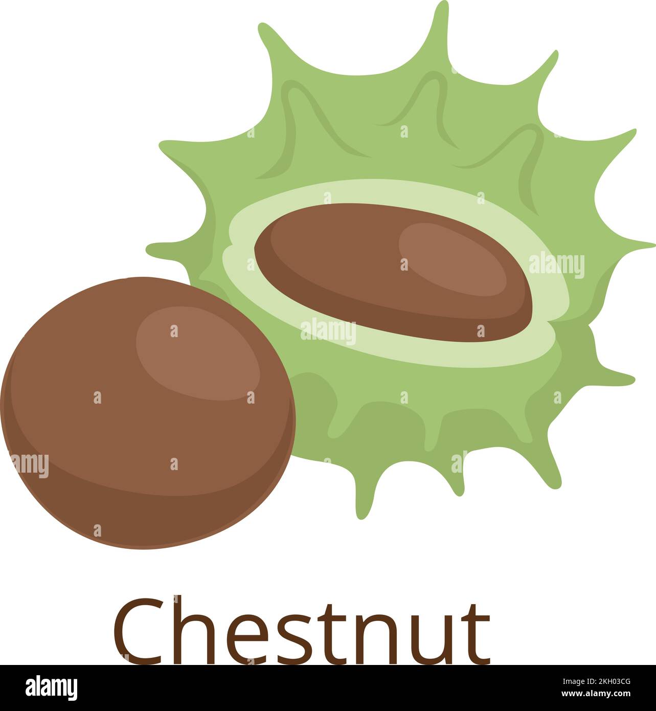 Chestnut tree fruit Stock Vector Images - Alamy