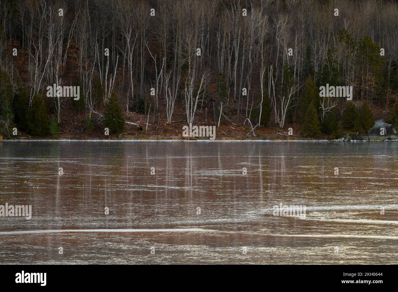 Frozen lake ecosystem hi-res stock photography and images - Alamy