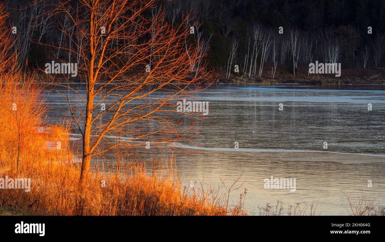 Frozen lake ecosystem hi-res stock photography and images - Alamy