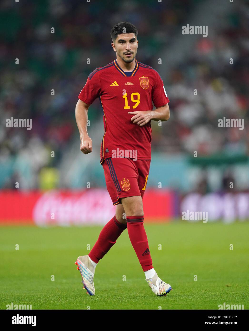 Spain's Carlos Soler during the FIFA World Cup Group E match at the Al ...
