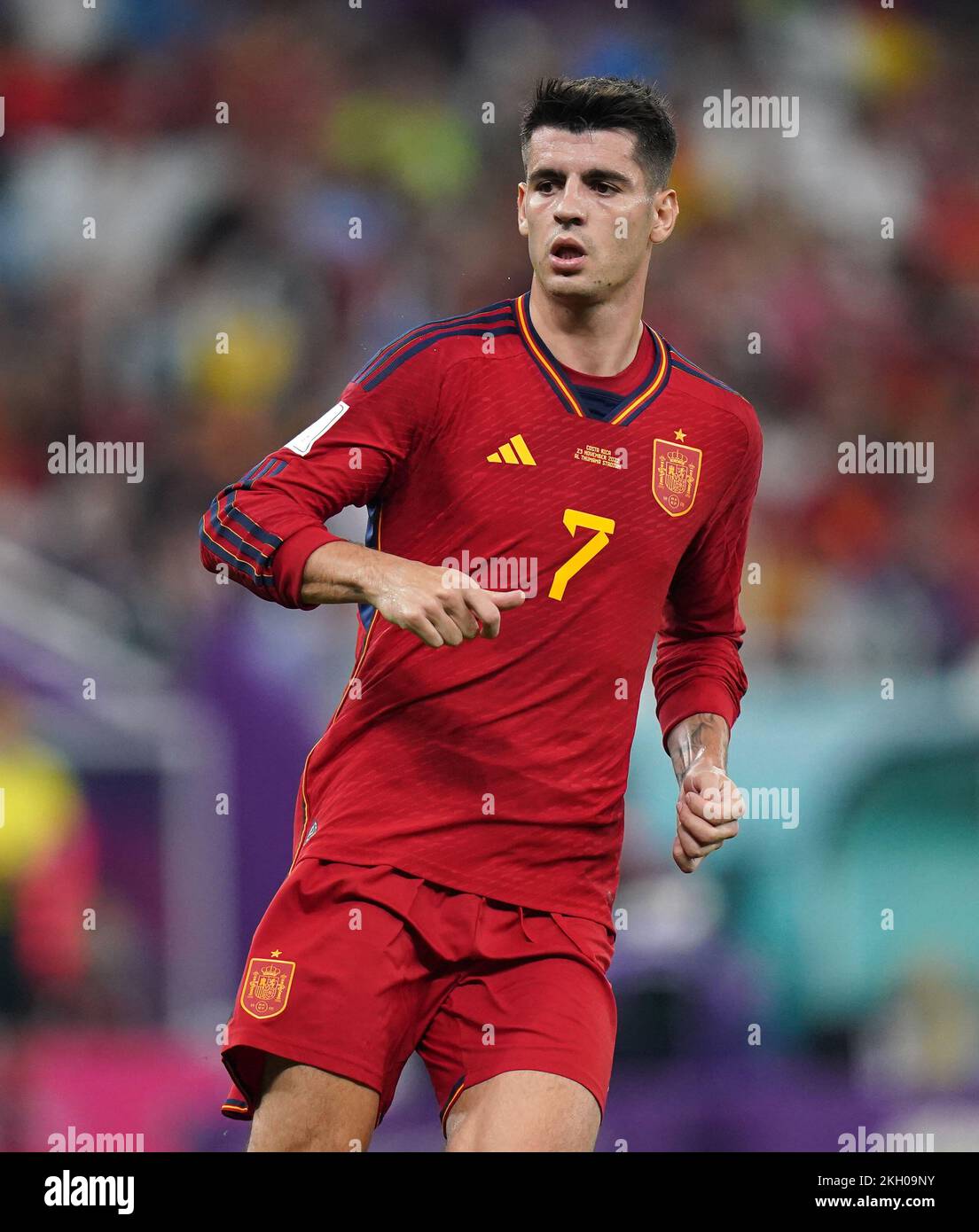 Spain's Alvaro Morata during the FIFA World Cup Group E match at the Al ...