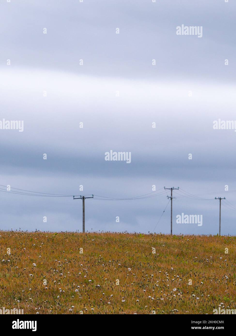 A power lines in a field, sky. Minimalistic landscape. Black electric ...