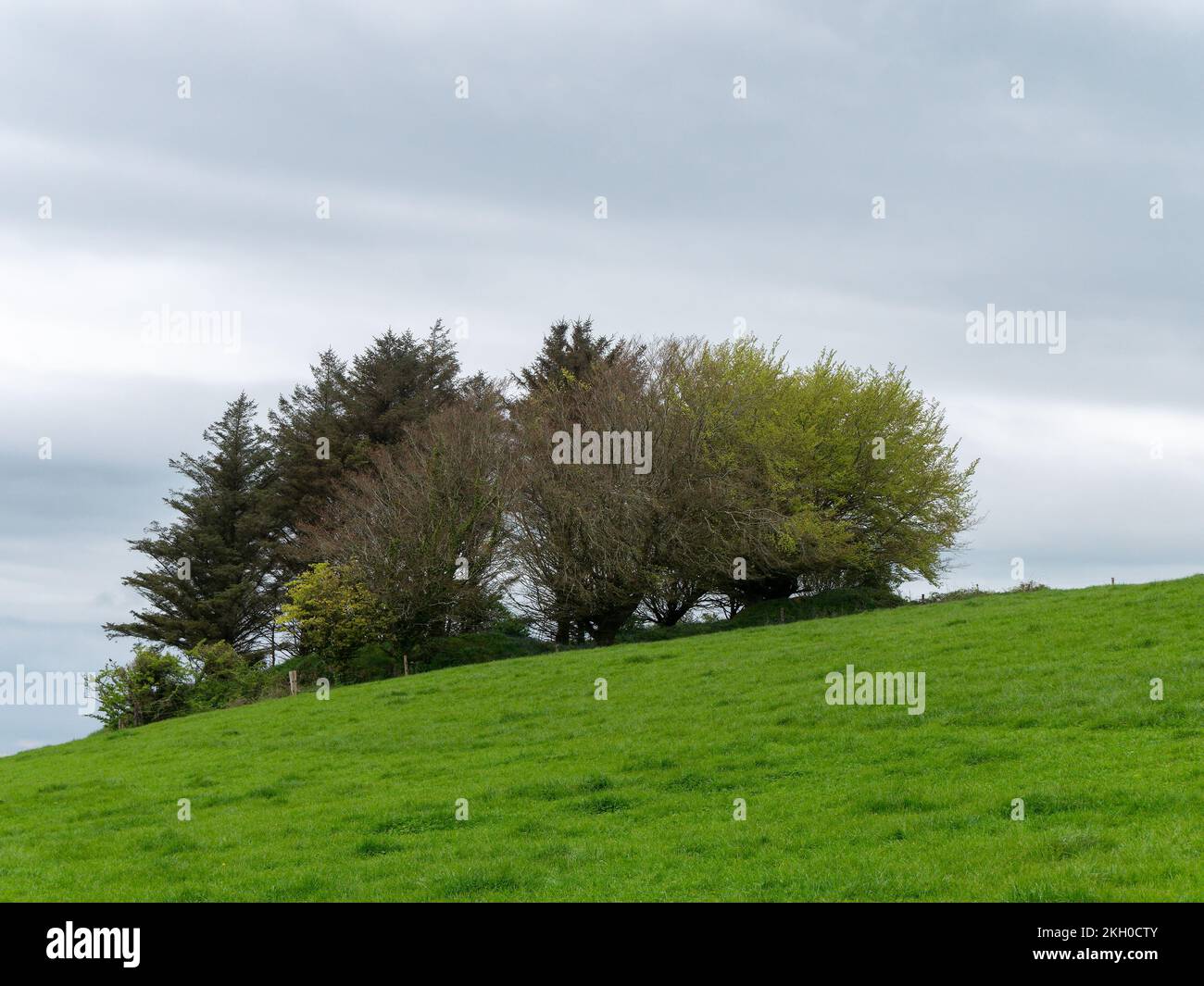 Hill slope hi-res stock photography and images - Alamy