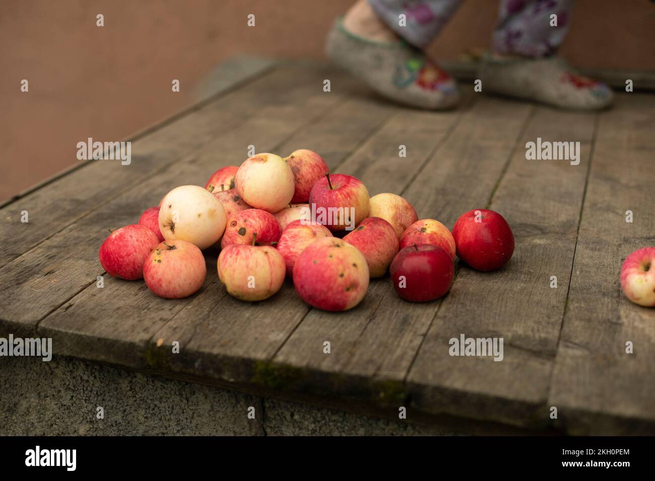 Red apples are on board. Fresh fruit in village. Fruits from garden ...