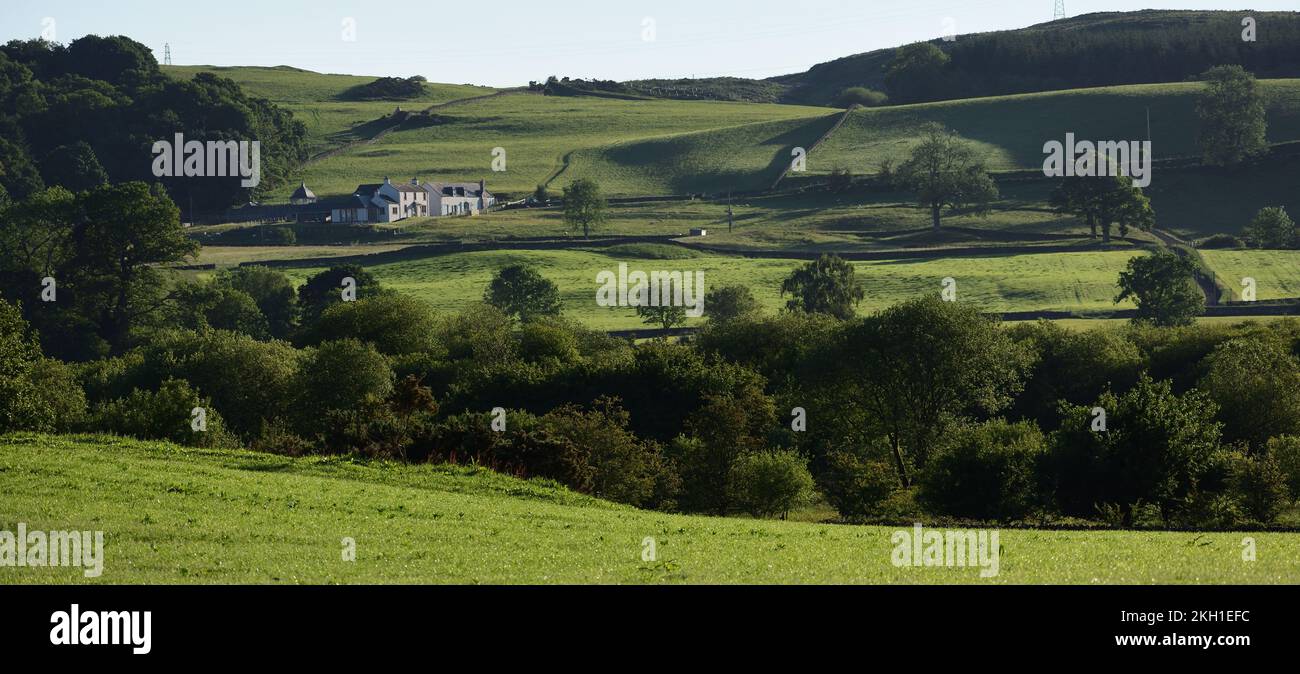 white Farm house in the rolling Scottish Countryside in Galloway ...