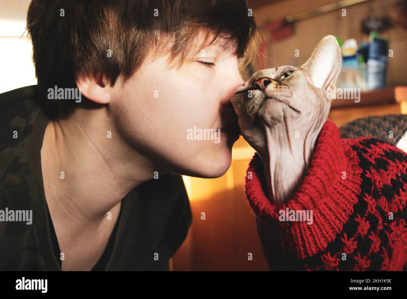Woman kissing beloved Canadian Sphynx breed cat. Mistress and bald ...